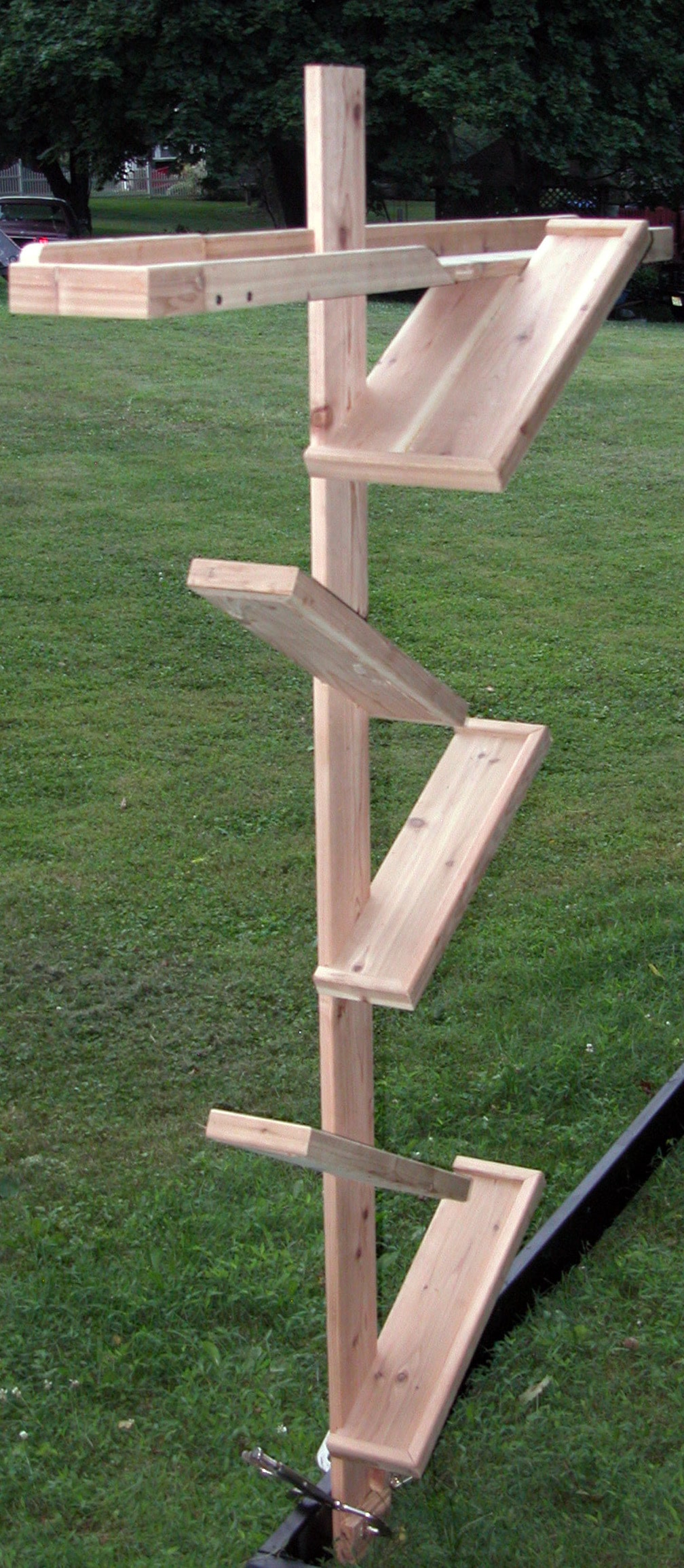 WindsorONE "Cat Walks for Cats!" - WindsorONE